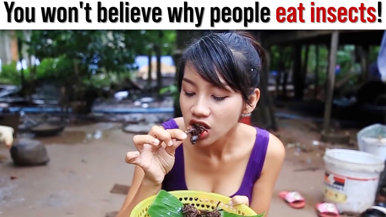 You won't believe why people eat insects! - YouTube