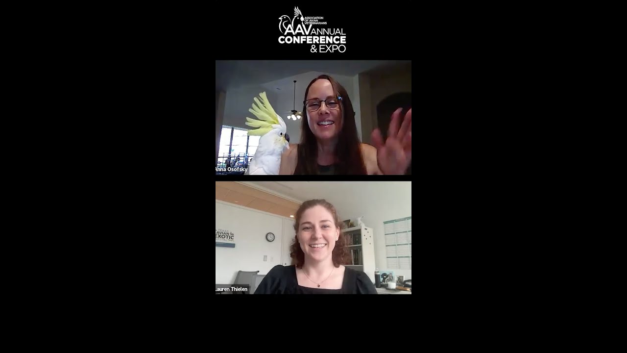 Let's Talk About the AAV Annual Conference & Expo - YouTube