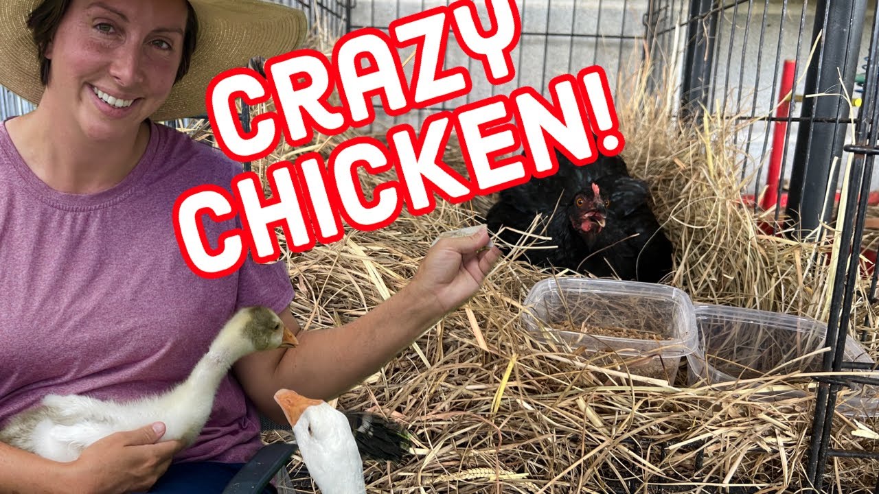 This Is Exactly What I Was Hoping For! - YouTube