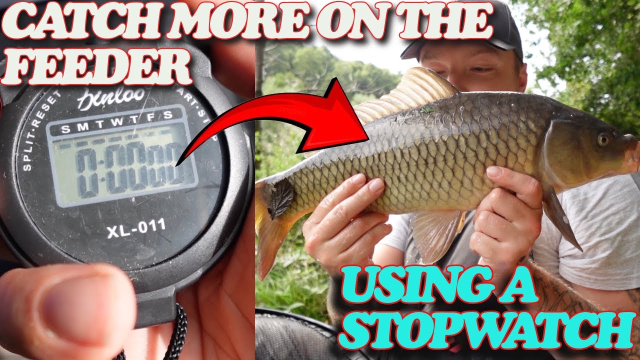 Catch MORE Fish On The Feeder By Using A Stopwatch !!!! - YouTube