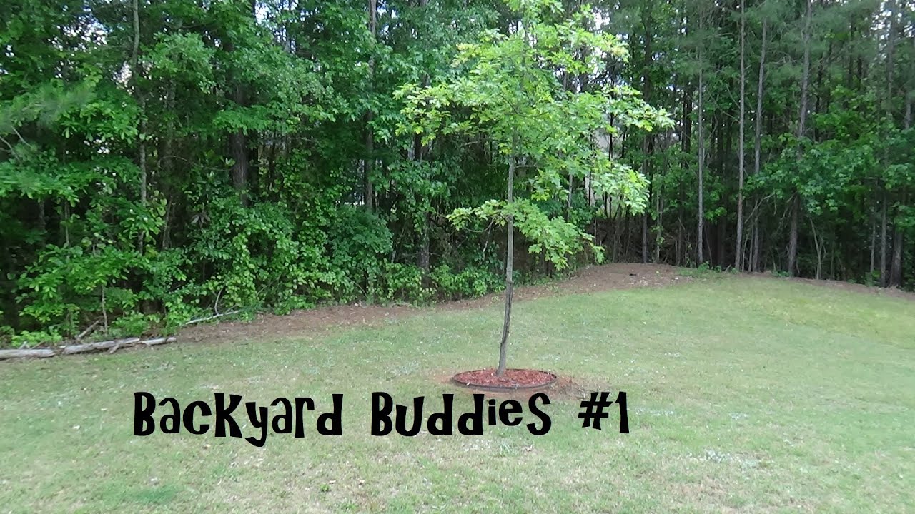 Backyard Buddies #1 - YouTube
