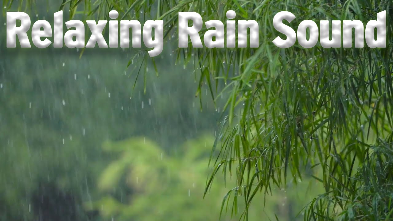 Rain Sound on Green Tree | Let the Soothing Sounds of Rain Wash Over ...