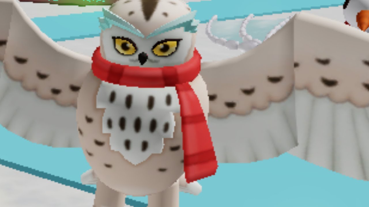 Snow Owl Showcase! - YouTube