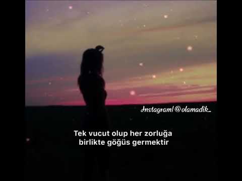 Sevgi hakında şiir