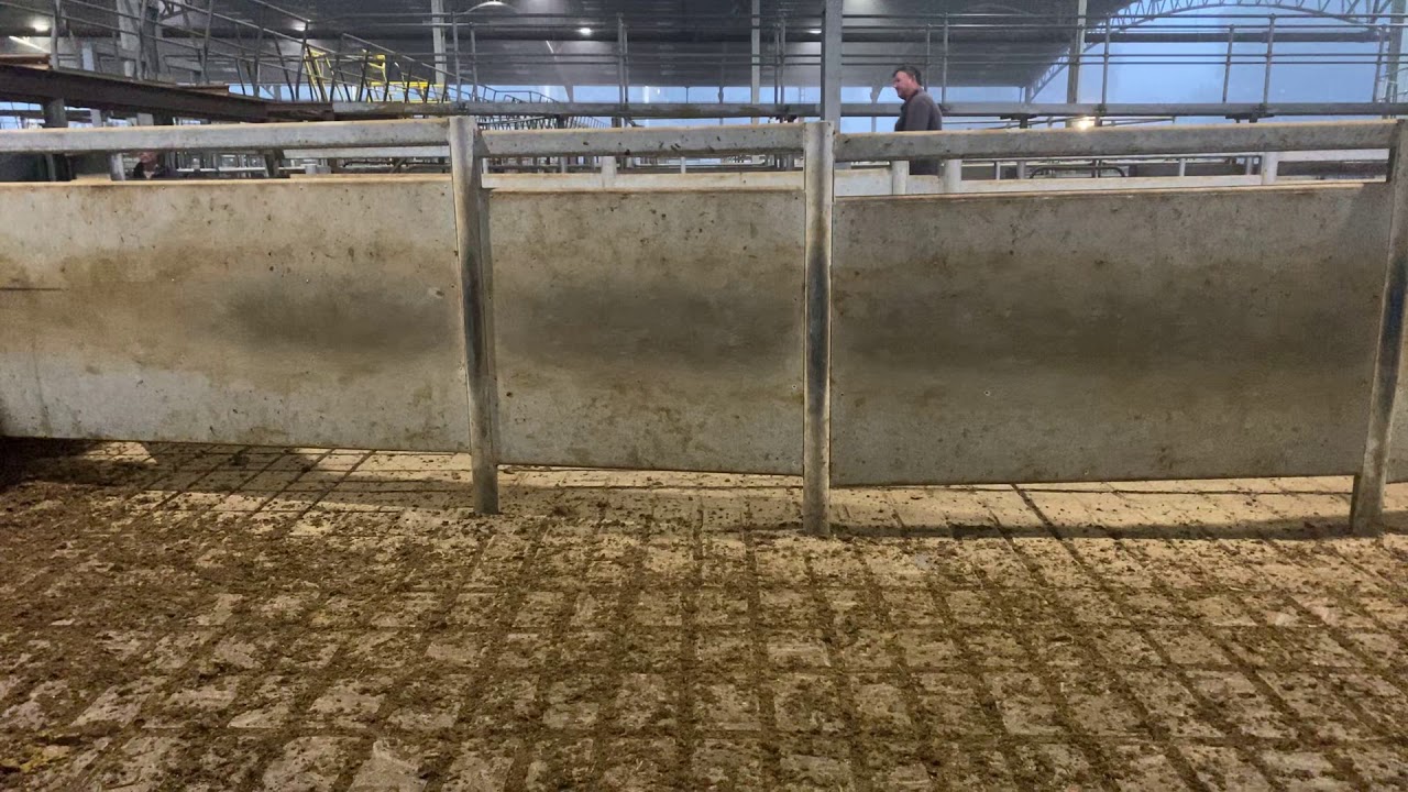 Pen 129 Coote N - YouTube