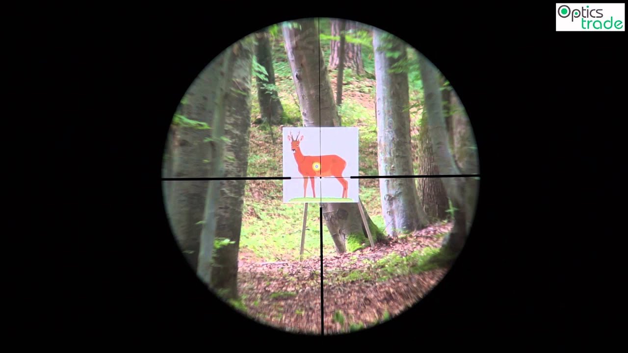 Minox ZE 5i 5-25x56 SF reticle 4 subtensions - YouTube