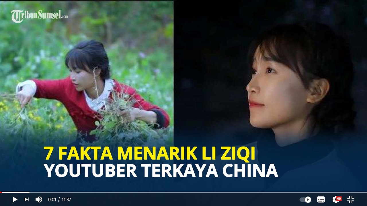 7 Fakta Menarik YouTuber Terkaya China Li Ziqi yang Dikabarkan Menghilang - YouTube