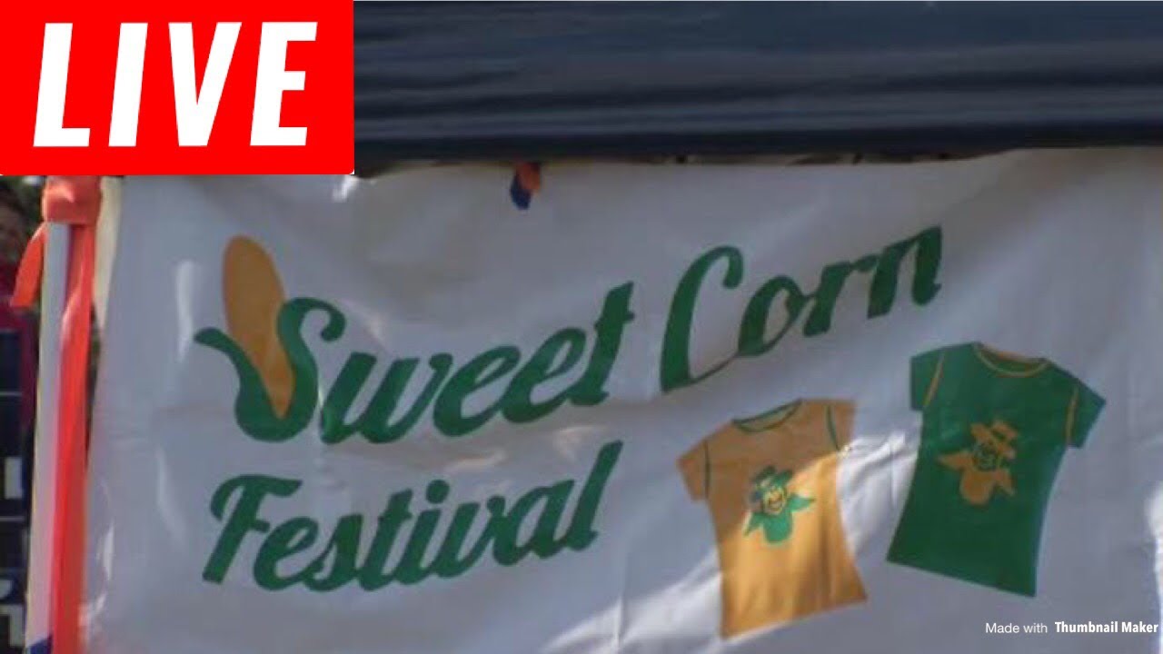 Hanging Out at the Sweet Corn Festival | BINGO Livestream - YouTube