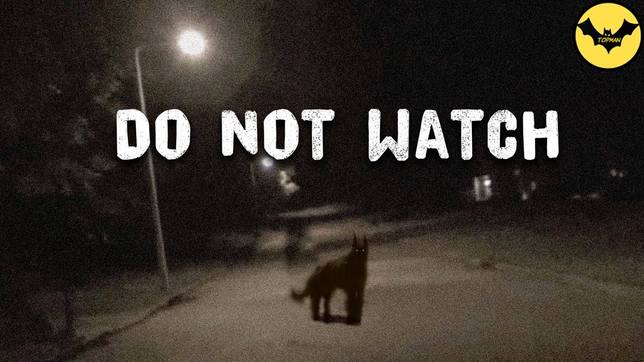 10 Pets Who Returned As Ghosts To Help Or Haunt Their Owners - YouTube