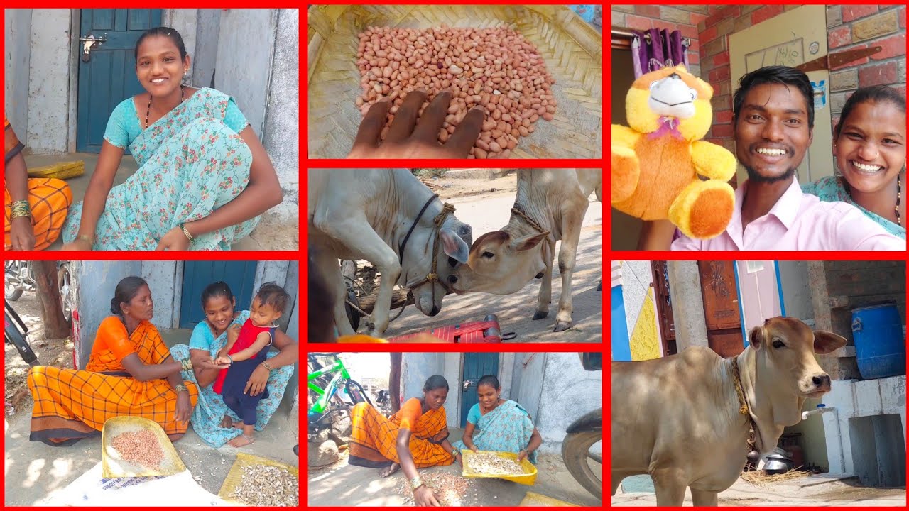 vlog .. Village life style vlog Village family life style vlog - YouTube