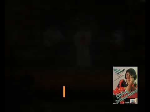 Nia zulvi zulkarnain