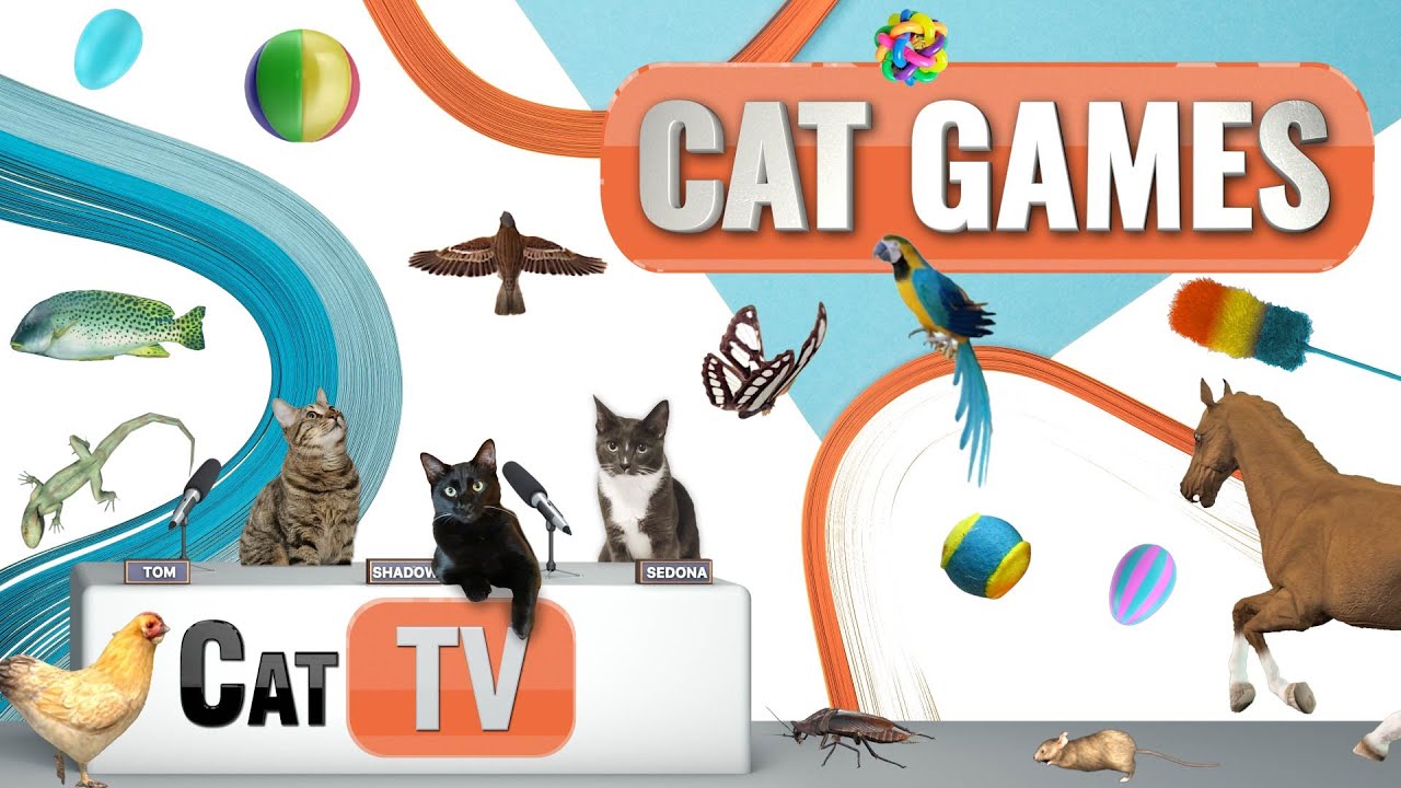 CAT Games | Ultimate Cat TV Compilation Vol 40 | 2 HOURS 🐝🐞🦋🦎🦜🐜🐭🧵 - YouTube