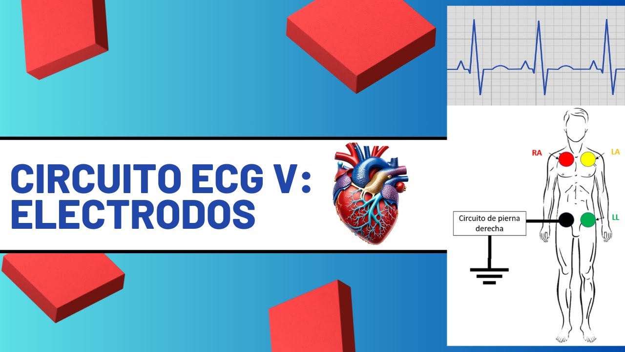 Como hacer un circuito de electrocardiograma ECG Parte V: Electrodos y ...