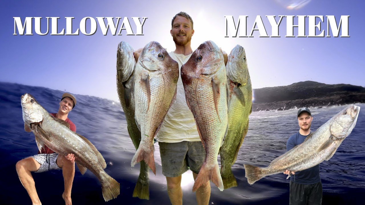 Mulloway/Jewfish Tweed heads!!! rain HAIL or shine - YouTube