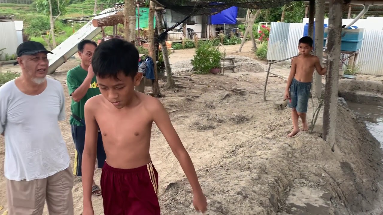 Mud Volcano Kuala Penyu, Sabah - YouTube