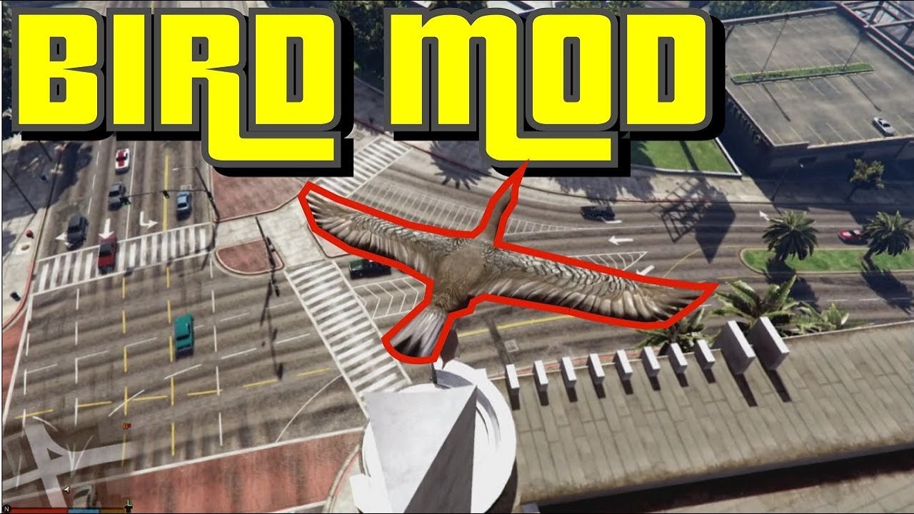 How to become BIRD in GTA V : BIRD MOD - YouTube
