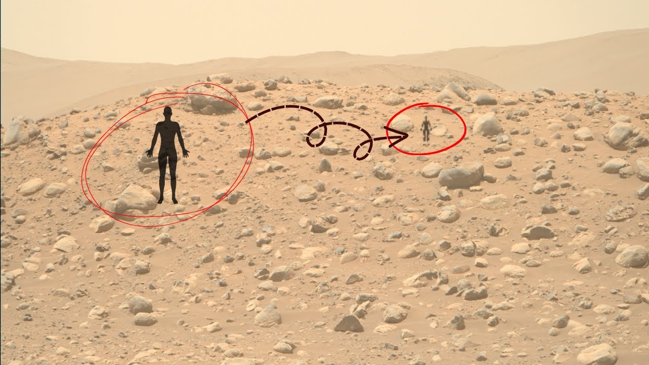 Mars perseverance Rover - Sol 446 Latest shadow the surface of Mars SP ...