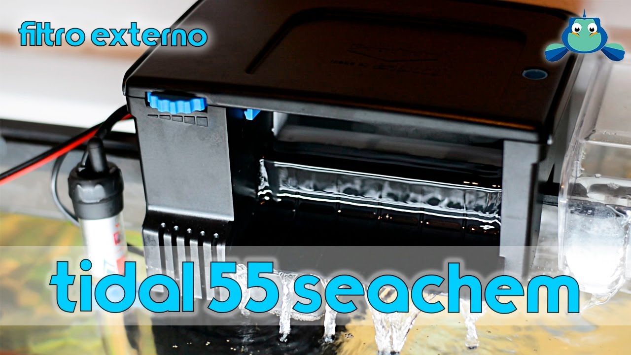 Revisión Filtro Tidal 55, Seachem - YouTube