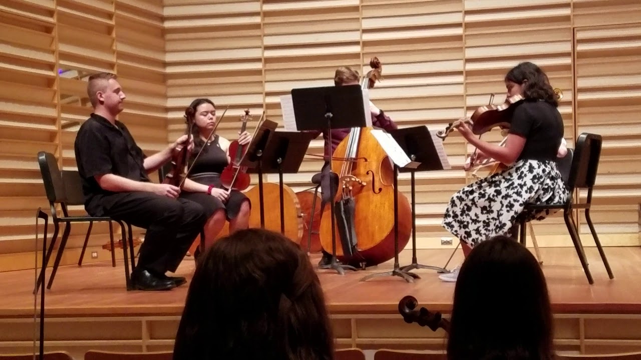 SUNY Fredonia Summer Music Festival String Camp 2019 Chamber Music ...