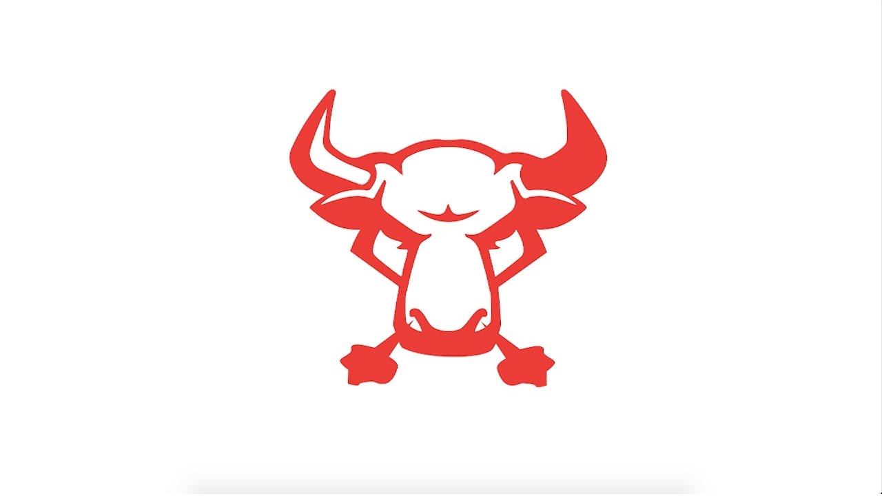 CM BULLS Vlog - YouTube