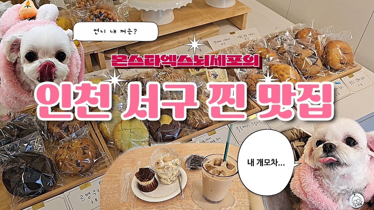 몬베베 브이로그mbb V Log 몬스타엑스monsta X 뇌세포가 애정하는 찐 인천 서구 맛집 투어 Ep1 Youtube
