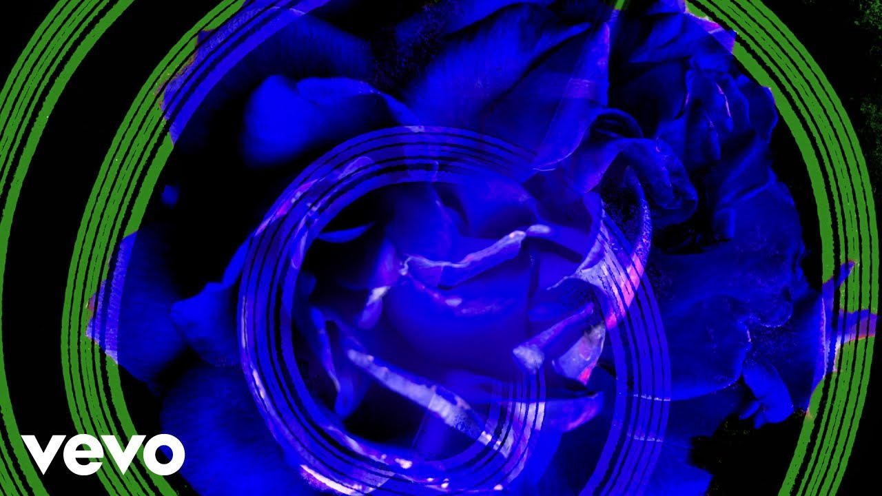 Elvis Costello, The Imposters - Paint The Red Rose Blue (Lyric Video ...