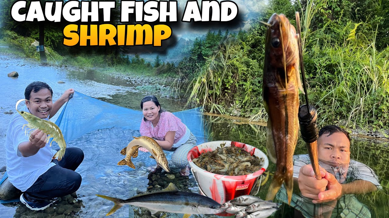 The Ultimate Catch of Fish and Prawns! Fishing with bamboo arrow in the ...