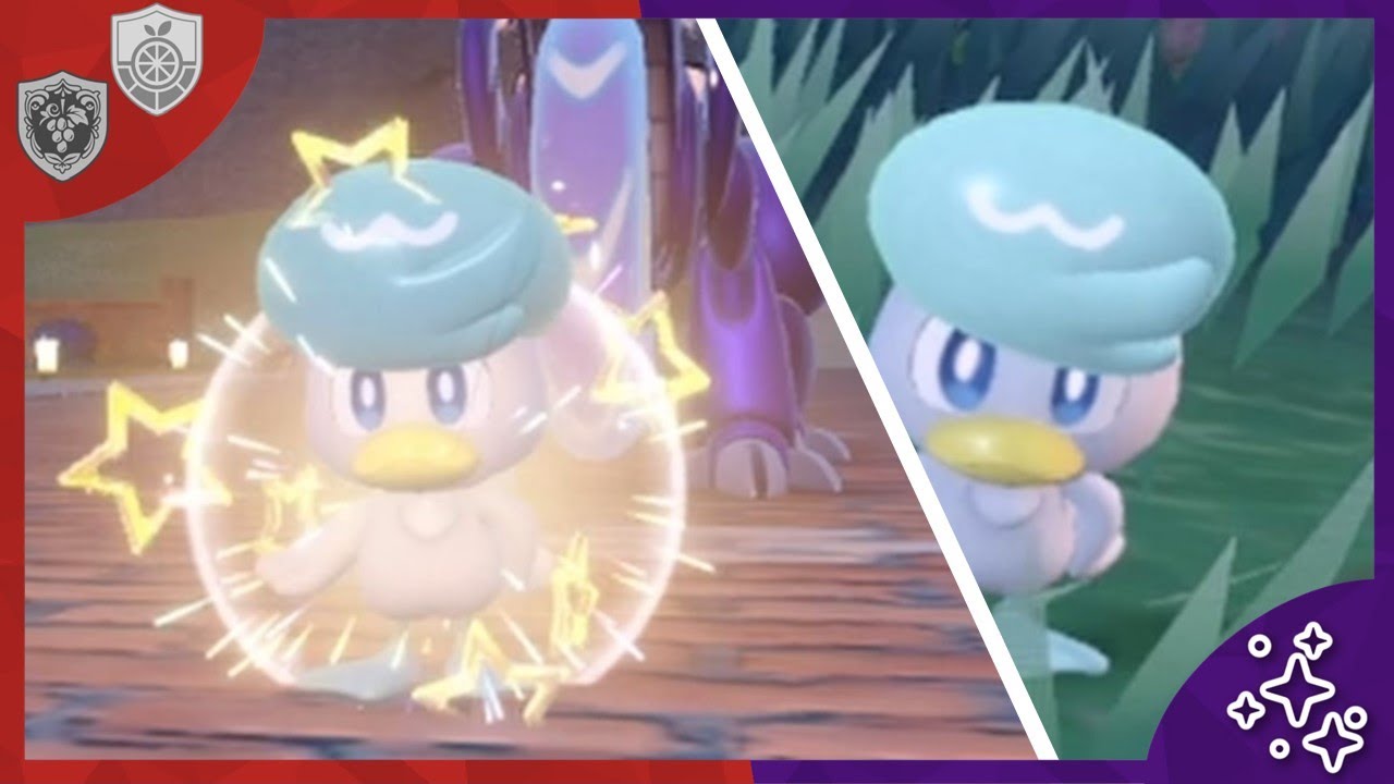 SHINY QUAXLY in Pokemon Scarlet and Violet! - YouTube