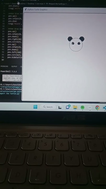 Panda Using Python Turtle #coding #python #youtubeshort #youtube - YouTube