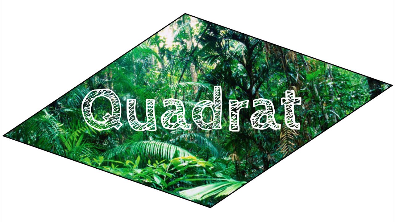 How to make a QUADRAT - YouTube