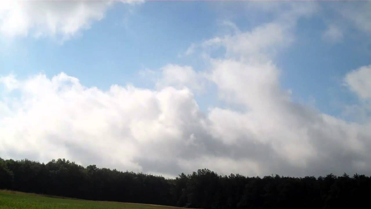 Contender 40 RC airplane flying - YouTube