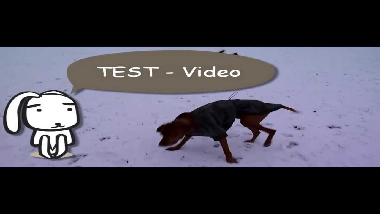 No Agility: Test_Video - YouTube