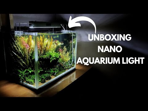 Unboxing Nano Aquarium Light | Arowana SpectroGlyph Nano 11| Planted Aquarium Light - YouTube