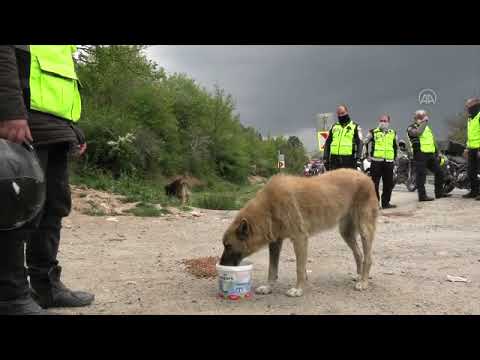 İHH Gönüllü Motorize Ekibi sokak hayvanlarına yiyecek ulaştırıyor