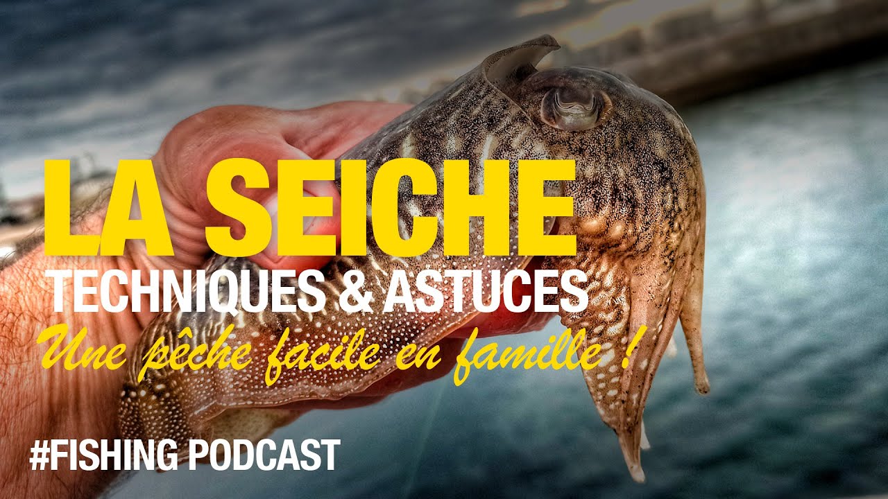 Pêche de la seiche Eging facile en bord de mer - YouTube
