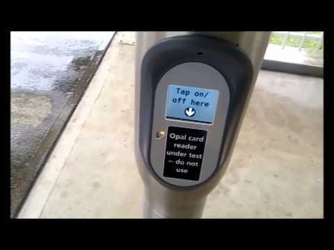 Opal Card tapping on an off - YouTube