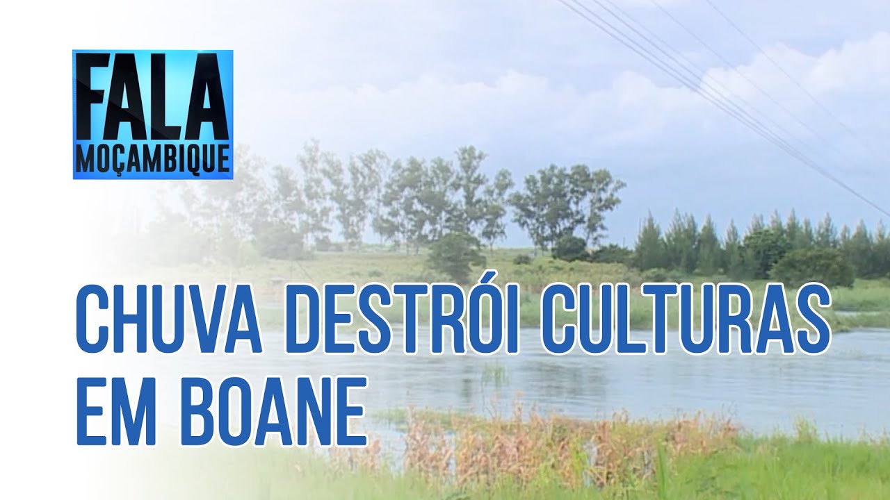 CHUVA DESTRÓI CULTURAS NO DISTRITO DE BOANE, 19/01/2022 - YouTube