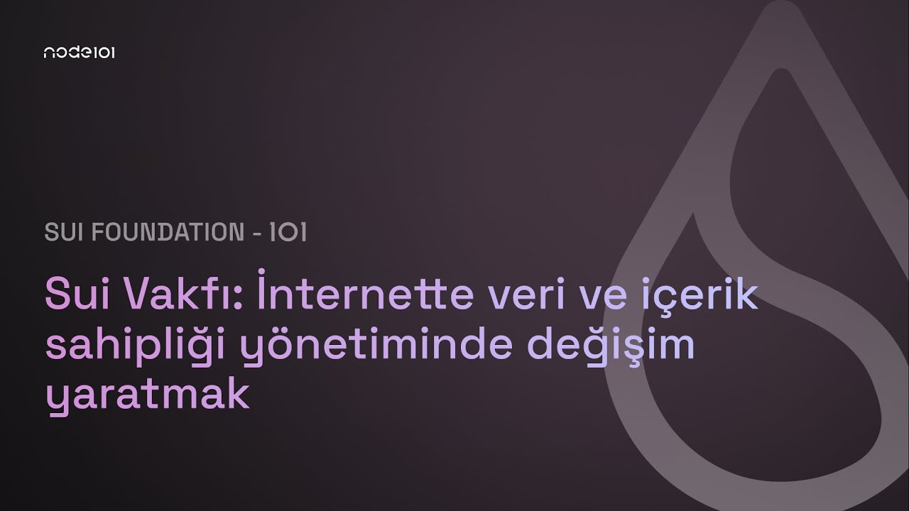 Sui Foundation 101 (Sui Foundation Nedir?) - YouTube
