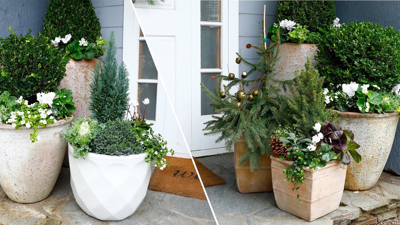 How to Design & Plant Two Holiday Container Gardens with Sarah - YouTube