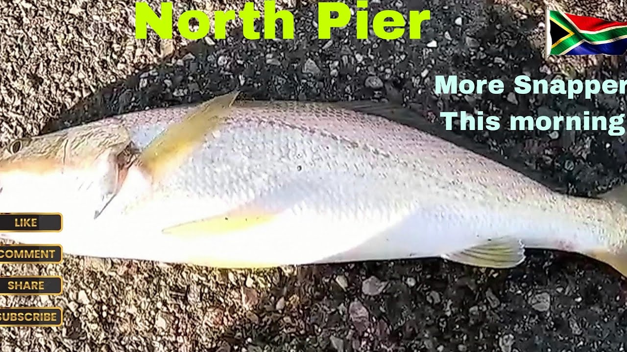 OFFROAD4LIFE, Fishing, North Pier, Durban, South Africa - YouTube