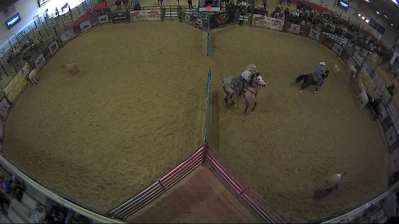 2nd Annual Let It Ride Penning and Sorting - #3 with #2 Buckle ...