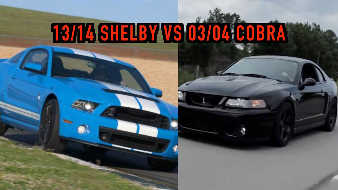 Terminator Cobra Mustang VS 2013 Shelby Debate! - YouTube