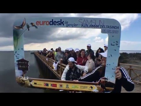Elif'in doğum gününü kutlu olsun :)