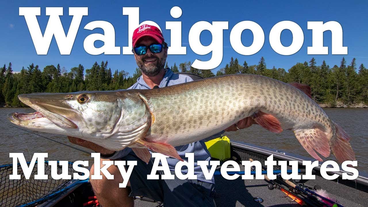 Wabigoon Musky Adventure on Wabigoon Lake In Sunset Country - YouTube