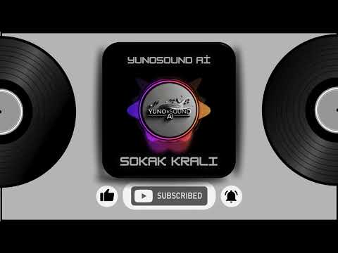 SOKAK KRALI – Türkçe Rap | Agresif Beat & Gerçek Sokak Hikayesi
