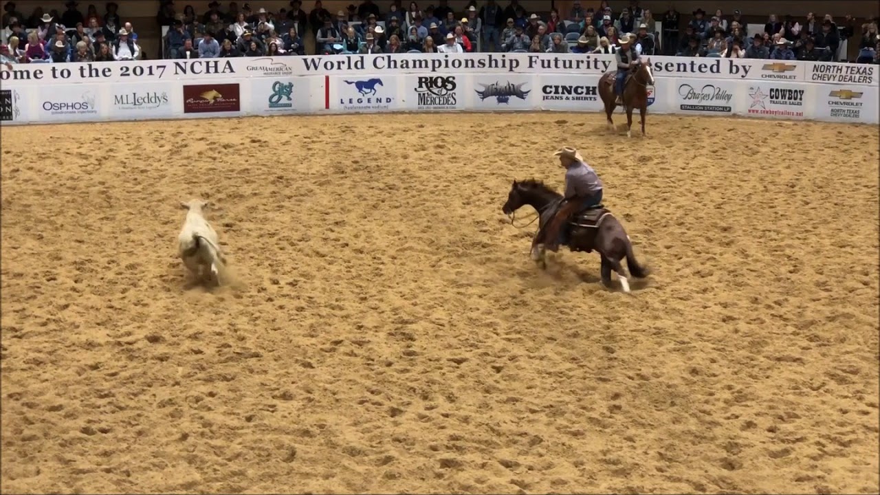 Austin Shepard Dual Reyish 2017 NCHA Futurity Champions - YouTube