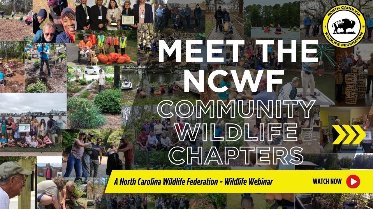 Meet North Carolina Wildlife Federation's Community Wildlife Chapters ...
