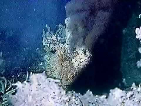 Vida en fumarolas submarinas - Océanos - YouTube