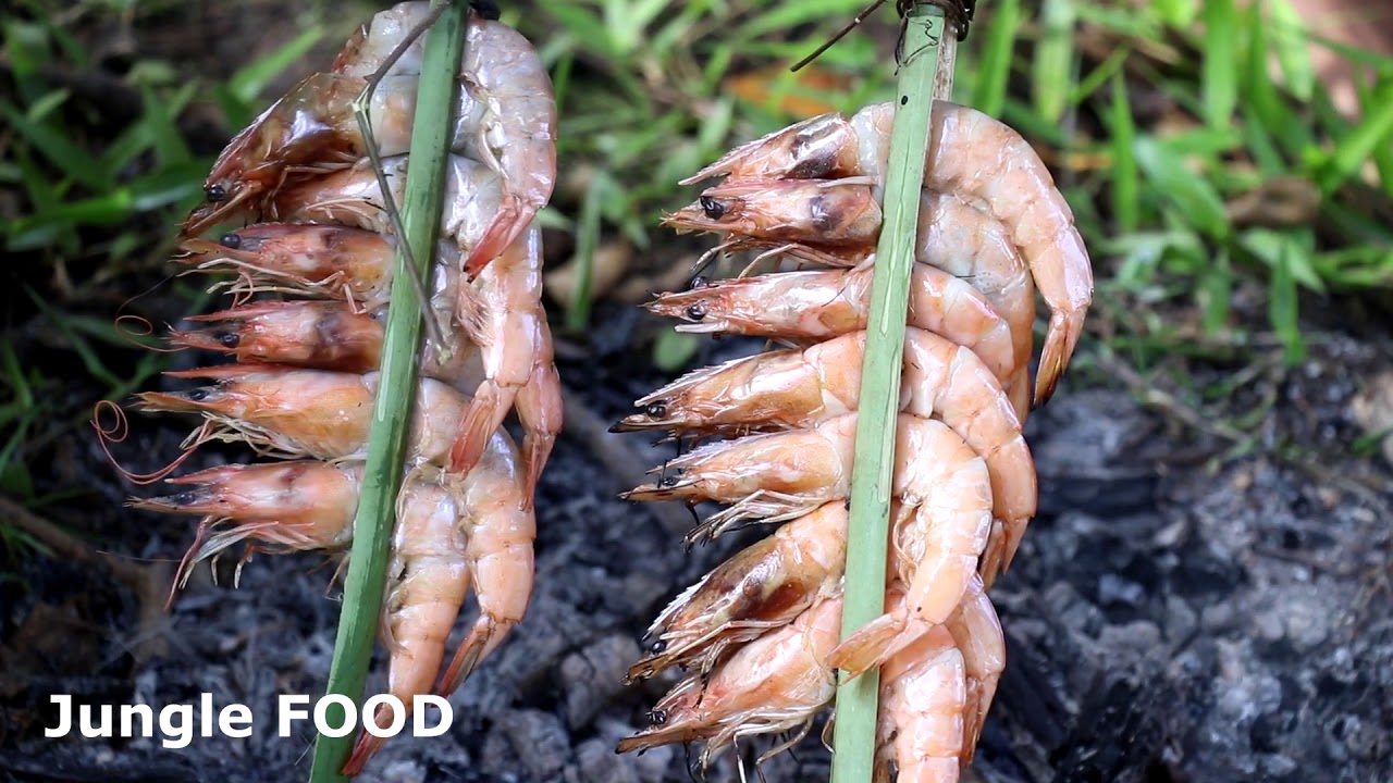 Jungle Food Recipe - Cooking Shrimp in forest - Eating Grilled Shrimp ...