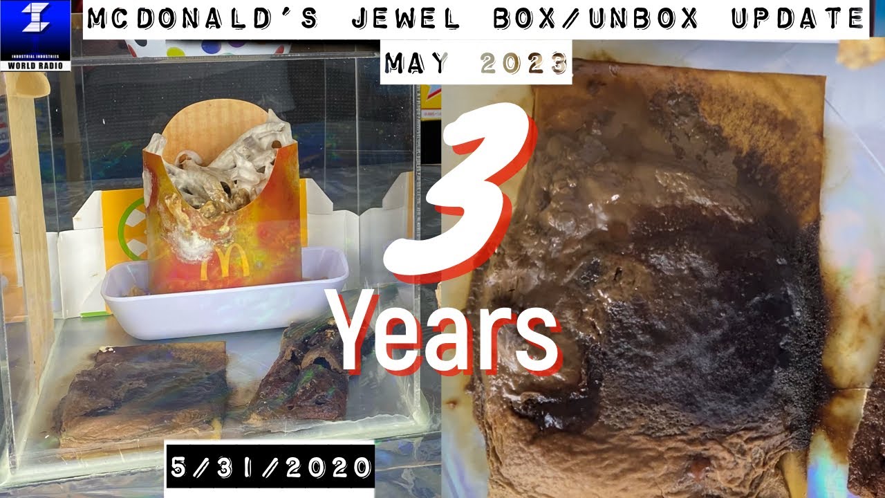McDonald’s Food Left Out For 3 Years | McDonald’s Jewel Box 3 Year ...